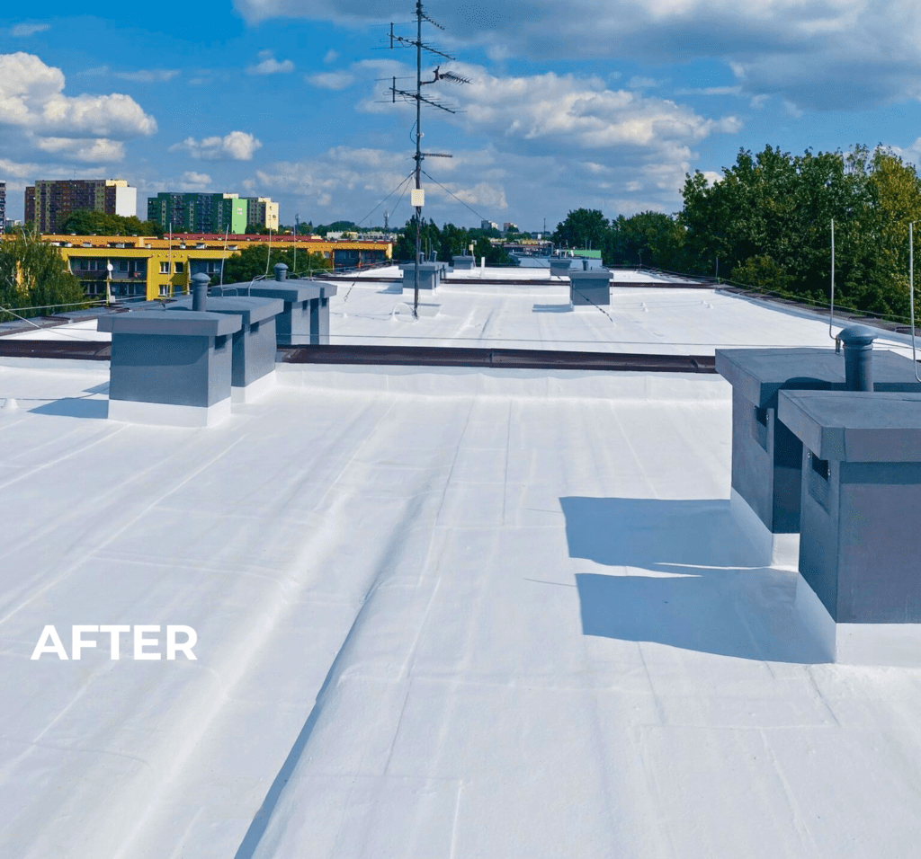 HYDRONYLON - Waterproofing membrane for roof renovatoin